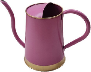 Advi 2 Litre Long Sprout Garden Watering Can 2 L Water Cane Price in ...