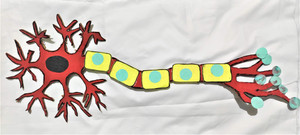 the craft gurus Unique model of neuron with labellers, Regular Size ...