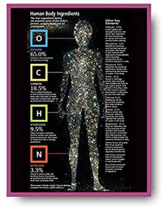 Photojaanic Human Body Ingredients Poster - Kids learning Charts ...