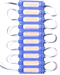 Wizzo 10 Pieces (BLUE) 12 Volt 2 Watt DC Capsule Shape LED Module Light ...