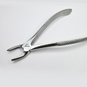 Polodent Dental Forceps upper Molars Left No 18 Dental Elevator Price ...