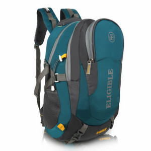 Eligible Casual 45L Laptop Shoulder Daytrip College Office Camping ...