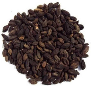 Garden Craft HARAD SMALL BLACK, KALA HARAD, BLACK HIMEJ, TERMINALIA ...