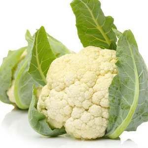 ANDOR गोभी Cauliflower Phool Gobhee/Phul Gobhi Seed Price in India ...