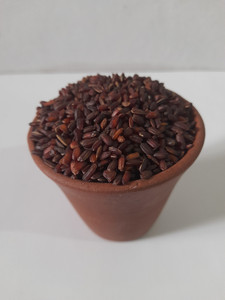 CHOLAS Ayurvedic Njavara Rice/ 1KG/ Red Navara Rice (Medium Grain ...