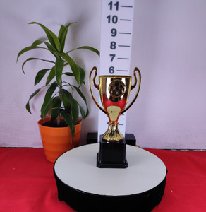 BIZSOL TECHNOLOGIES PVC Cup Trophy Trophy Price in India - Buy BIZSOL ...