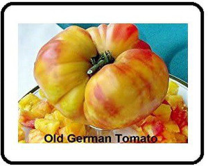 VibeX ® VLR-132 Old German Tomato Seeds Seed Price in India - Buy VibeX ...