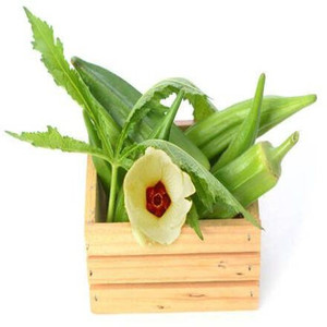 Biosnyg ®LXI-175 Okra (Lady Finger - Bhindi) Vegetable Seed Price in ...