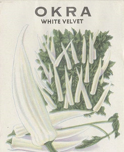 Biosnyg ®IACR-383 White Okra (Benda) Desi Vegetable Seed Price in India ...