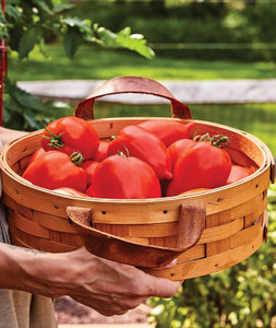 VibeX ® LXI-37 Big Mama Large Red Paste Tomato Seeds Seed Price in ...