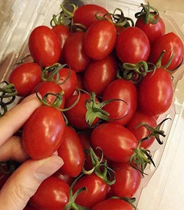 VibeX ® XXL-977 German Red Strawberry Tomato Seeds Seed Price in India ...