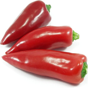 Biosnyg ®PAU-820 Piquillo Chilli Seed Price in India - Buy Biosnyg ®PAU ...