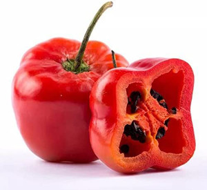 Biosnyg ™HAU-579 Red Manzano Chilli Seed Price in India - Buy Biosnyg ...