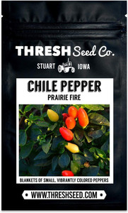 Biosnyg ™HAU-859 Prairie Fire Chilli Seed Price in India - Buy Biosnyg ...