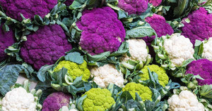 Biosnyg ®RUA-135 Colorful Cauliflower Mix of 5 Varieties Seed Price in ...