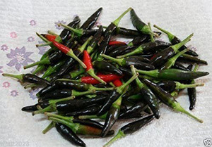Biosnyg Vietnamese Devil Chilli Seed Price in India - Buy Biosnyg ...