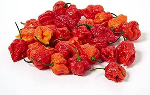WILLVINE XLR-47 Hottest Chili Carolina Reaper Chilli Seeds Seed Price ...