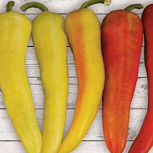 Biosnyg ®LXI-754 Sweet Banana Chilli Seed Price in India - Buy Biosnyg ...