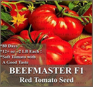 Biosnyg Beefmaster Hybrid Tomato Seed Price in India - Buy Biosnyg ...