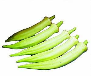 VibeX ® VLR-419 White Okra (Benda) Desi Vegetable Seeds Seed Price in ...