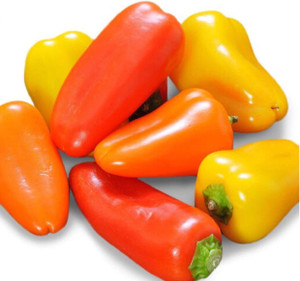 VibeX ® RXI-984 Pretty N Sweet Bell Pepper Seeds Seed Price in India ...