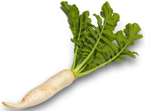 VINTI White Radish Muli/Mooli Seed Price in India - Buy VINTI White ...