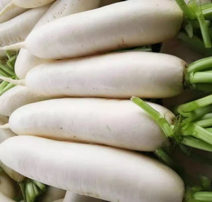 VINTI (Mooli) Vegetable (मूली के बीज) Seed Price in India - Buy VINTI ...