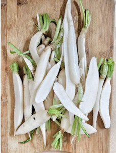 VINTI White Icicle Radish Seed Price in India - Buy VINTI White Icicle ...