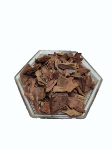 Nature Green ARJUNA CHAAL - ARJUN CHHAL - ARJUNA BARK Seed Price in ...