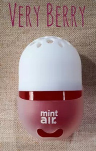 Mint Air MINT Diffuser Price in India - Buy Mint Air MINT Diffuser ...