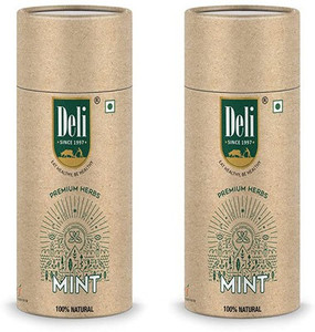 Deli Deli Mint 20 gm x 2 (40 g) Flavor Masala for Texture & Taste Pizza ...