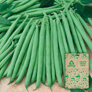 Optimal Seeds Creeper Beans Seed Price in India - Buy Optimal Seeds ...