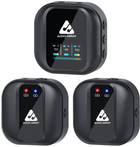 Audio Array Dual Wireless Mic, Upto 10hr Battery & 100m Range ...