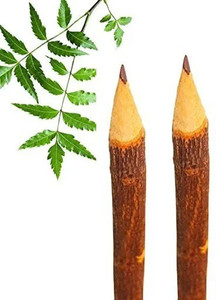 Flipkart.com | Abluxa Art and Craft Handmade eco Friendly Neem Tree ...