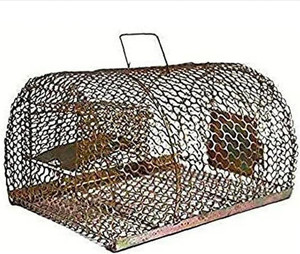 Harshi Enterprises Mouse Rat Catcher/Rat Cage Live Trap Price in India ...