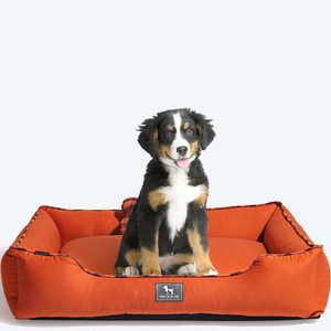 Heads Up For Tails Classic Cotton Lounger Dog Bed M Pet Bed Price in ...