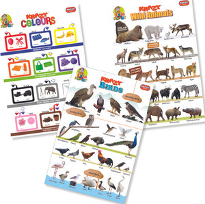 Mind Wealth Krazy Combo Charts Set 11 (Wild Animals, Birds & Colours ...