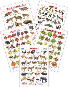 Spectrum Set of 5 Educational Wall Charts (Wild Animals, Birds ...