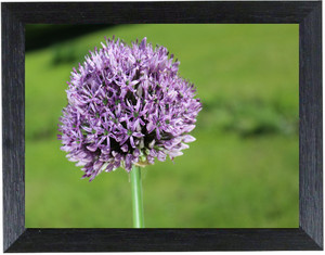 ROYAL ROOTS Flower Textured Print Floral Painting Framed Reprint Pastel ...