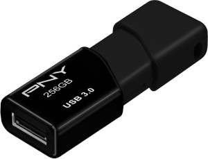 PNY Turbo Elite 256 GB Pen Drive Compatible with Netbook, Gaming ...