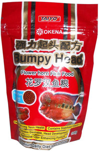 TAIYO Okena Bumpy Head Flower Horn 100 g Dry Adult Fish Food Price in ...