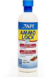API Nutrition Supplement Liquid Price in India - Buy API Nutrition ...