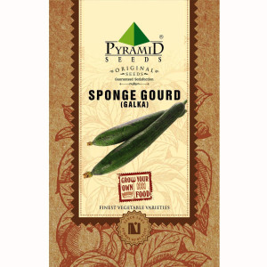 Pyramid Seeds Sponge Gourd Seed Price in India - Buy Pyramid Seeds ...