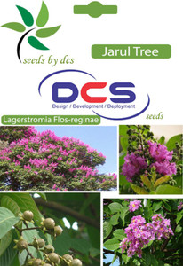 DCS Jarul Tree Seed Price in India - Buy DCS Jarul Tree Seed online at ...