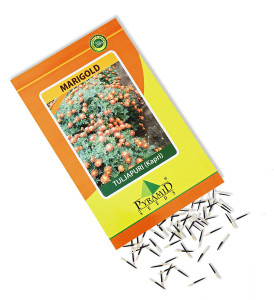 Pyramid Seeds Flower Seed Price in India - Buy Pyramid Seeds Flower ...