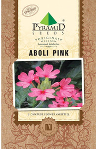Pyramid Seeds Aboli Pink Seed Price in India - Buy Pyramid Seeds Aboli ...