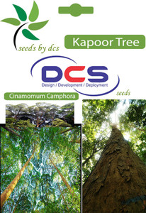 DCS Kapoor Tree Seed Price in India - Buy DCS Kapoor Tree Seed online ...