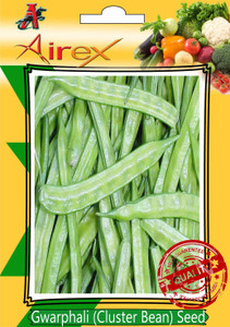 Airex Gwarphali (Cluster Bean) Seed Price in India - Buy Airex ...