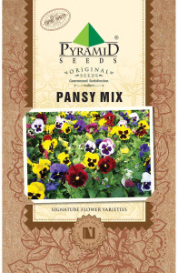 Pyramid Seeds Flower Seed Price in India - Buy Pyramid Seeds Flower ...