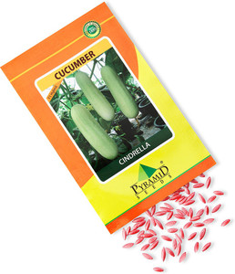 Pyramid Seeds Cucumber Seed Price in India - Buy Pyramid Seeds Cucumber ...